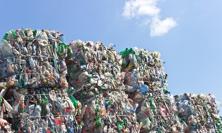 O poder da reciclagem | Climatempo