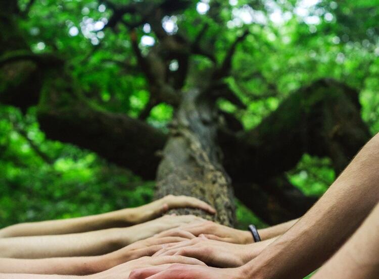 Saiba o que é e como empreender na Onda Verde | Climatempo