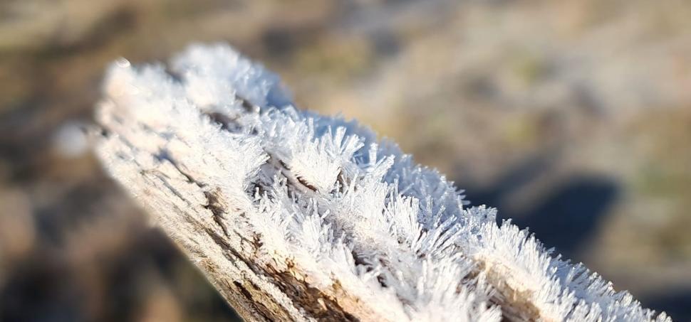 Semana começa com geada no Rio Grande do Sul | Climatempo