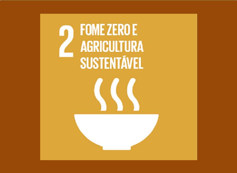 ODS 2: acabar com a fome e promover a agricultura sustentável | Climatempo