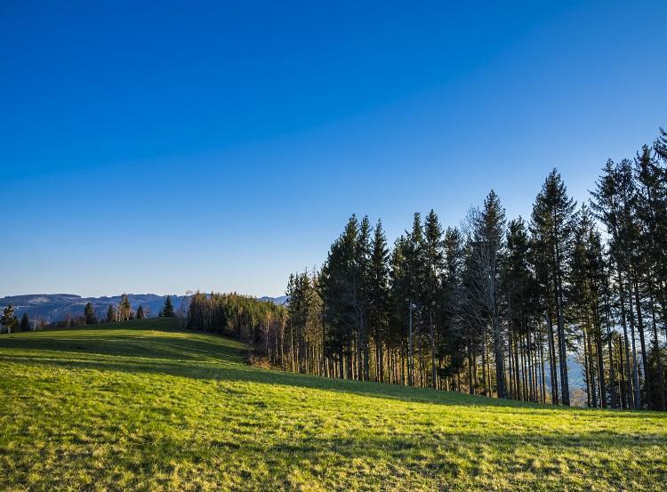 7 de setembro - Dia Internacional do Ar Limpo para um céu azul | Climatempo