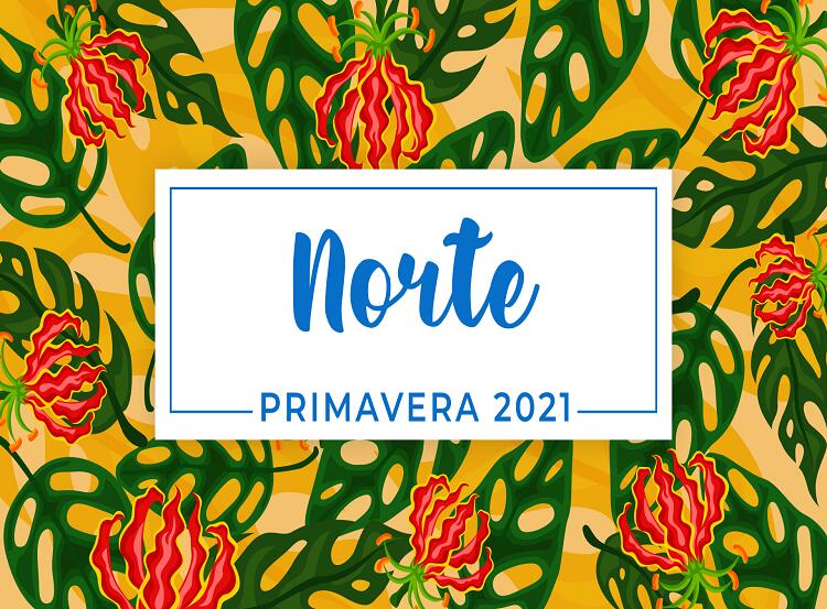 Primavera 2021: previsão para a Região Norte | Climatempo