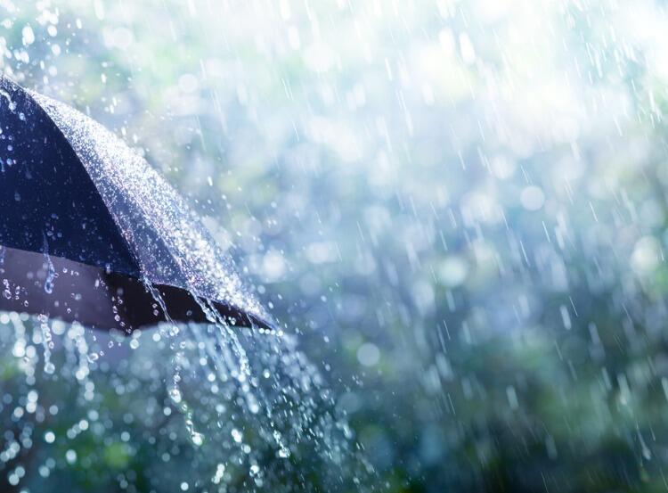 Dezembro começa com muita chuva no centro-norte do país | Climatempo