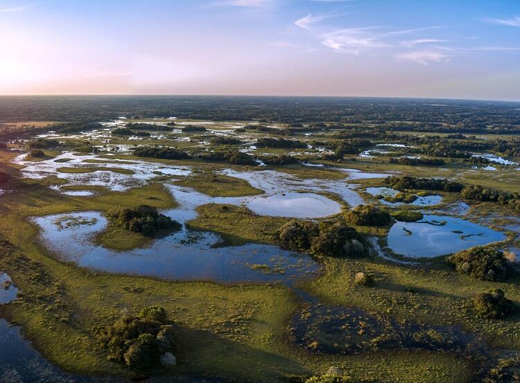 ONU institui Dia Mundial dos Pântanos | Climatempo