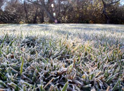 Previsão do tempo e clima | Meteorologia no Tempo Agora