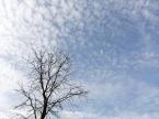 Tempo Agora em São Paulo - SP: Clima em tempo real | Climatempo