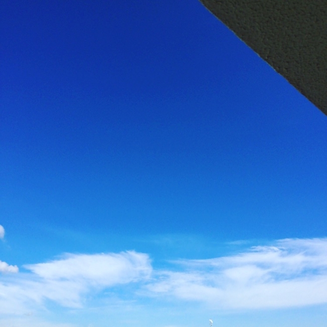 Dia lindo de sol!! - Categoria - Notícias Climatempo